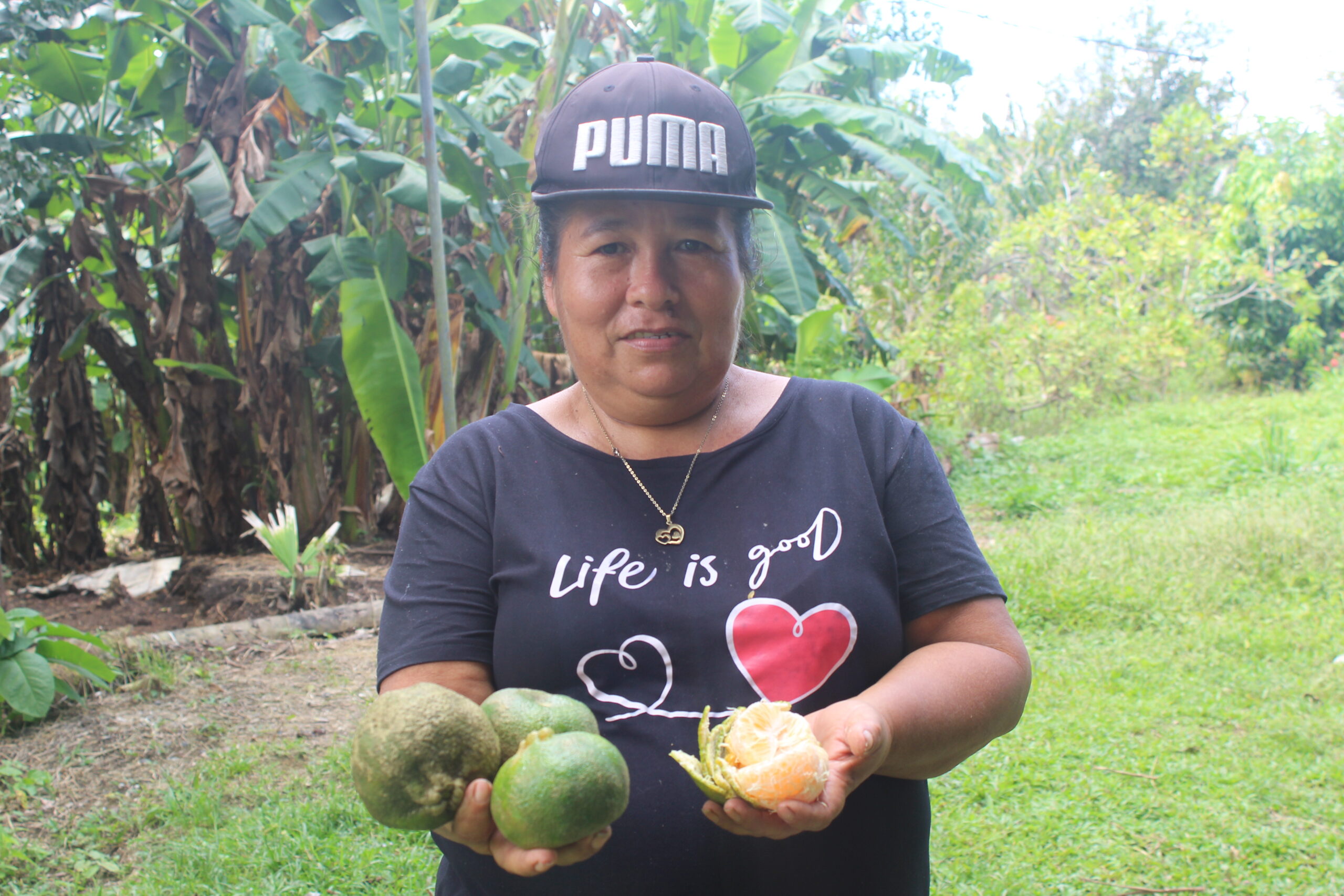 Introducing the Kambia Global Business Challenge | Kambia